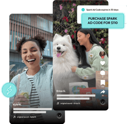 How to Get a Spark Ads Code on TikTok (Brands & Creators)